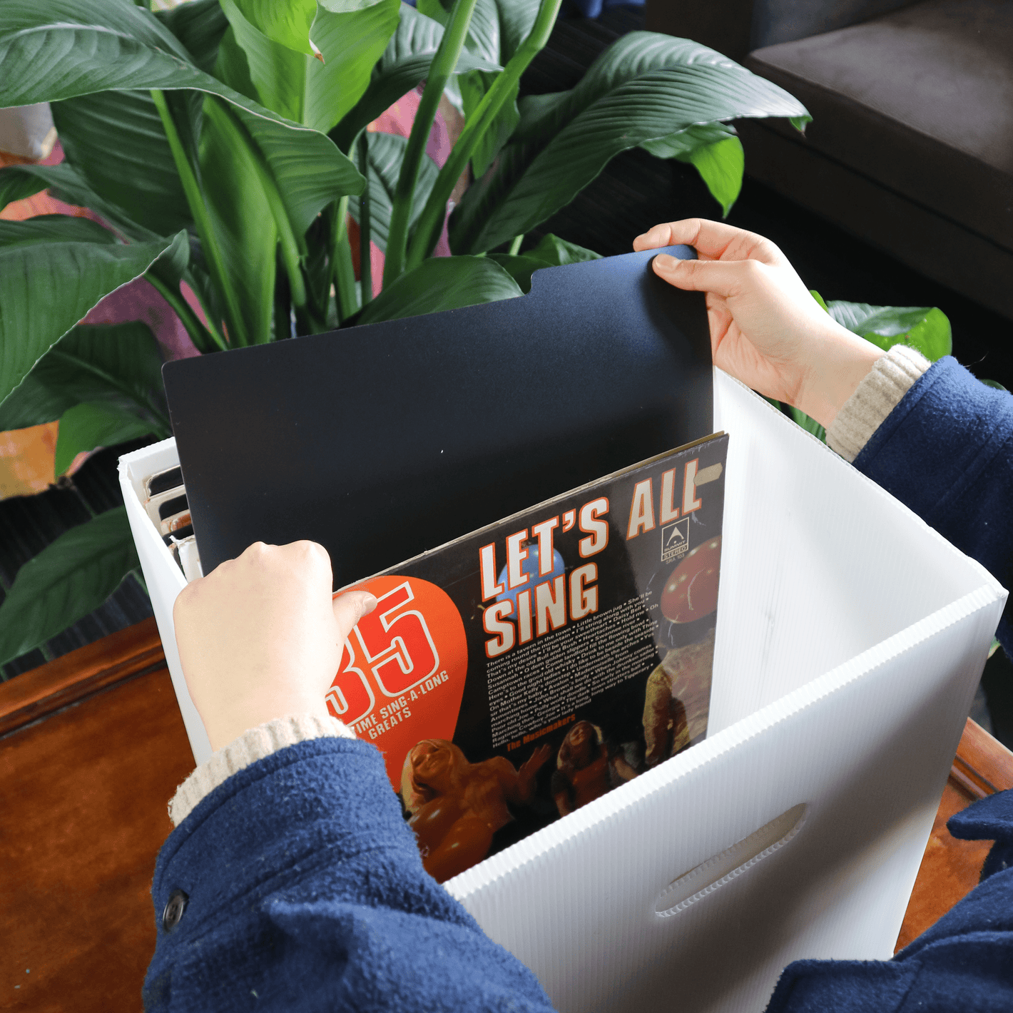 Vinyl Record Storage | 7" & 12" Boxes, Sleeves & Dividers – Archive ...